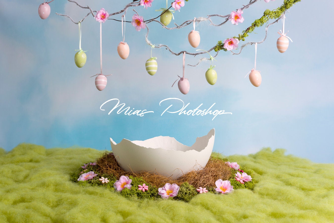 PSD & JPG Easter Digital Background Newborn Digital Backdrop | Etsy