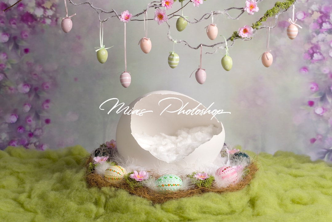 PSD & JPG Easter Digital Background, Newborn Digital Backdrop - Etsy