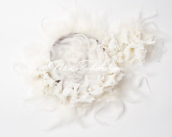 Digital Backdrop Background Newborn Baby Girl White Cream - Etsy