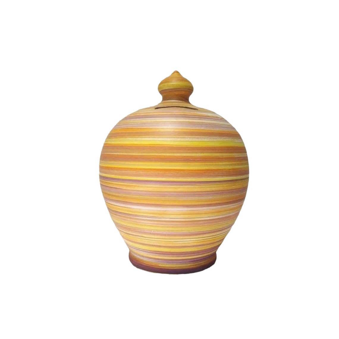 Coin Bank Adult, Smash Pot, Smash Money Box, Savings Banks for Adults ...