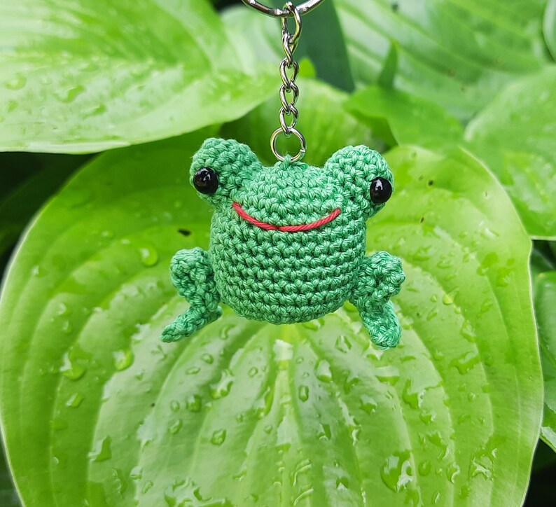 Frog Car Accessory Hanging Crochet Frog Rear View Mirror Car - Etsy