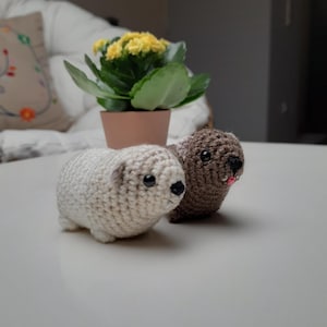 White Hyrax Albino Wawa Awawa Animal Hanging Car Charm or Keychain ...