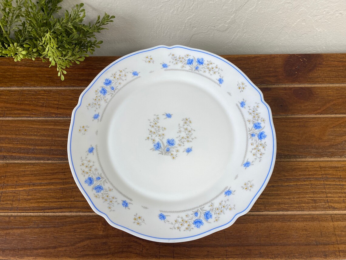 Set of 2 Vintage Romantique by Arcopal Plates - Blue Floral Cottagecore ...
