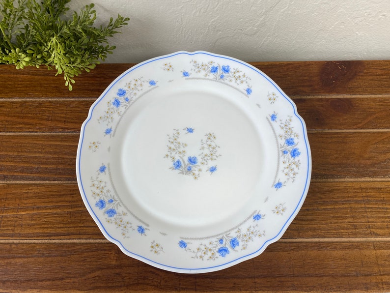 Set of 2 Vintage Romantique by Arcopal Plates Blue Floral - Etsy