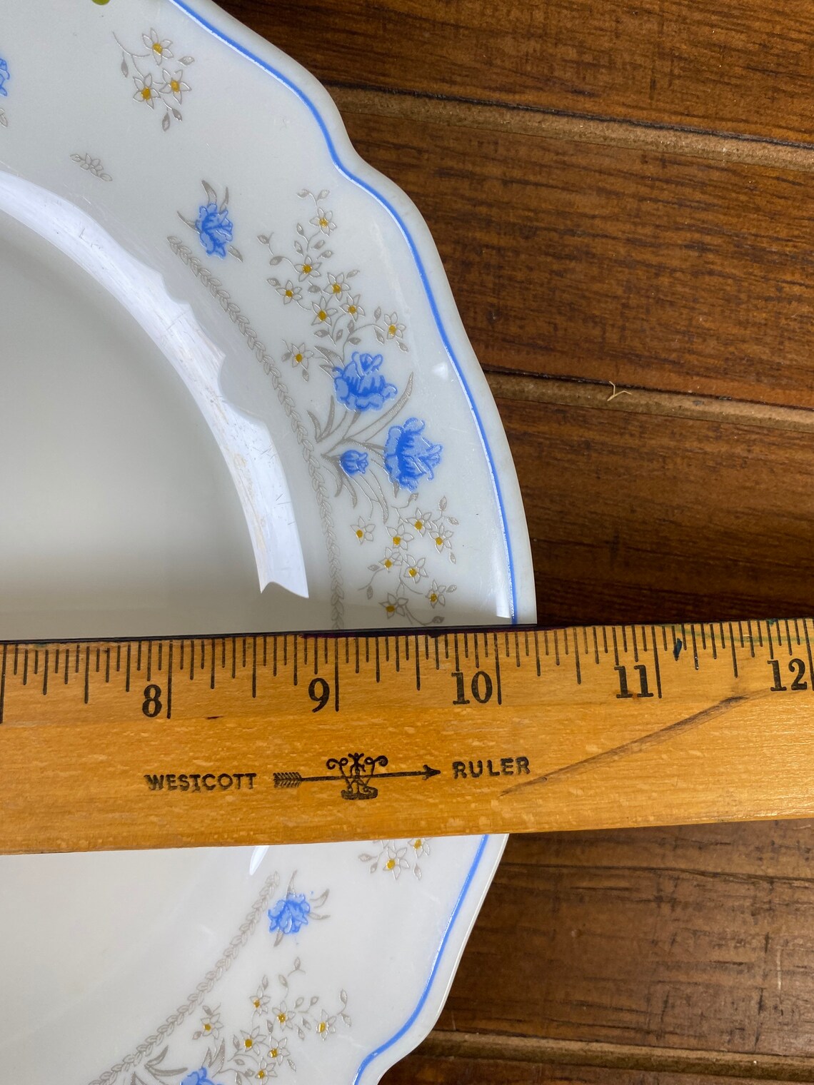 Set of 2 Vintage Romantique by Arcopal Plates - Blue Floral Cottagecore ...