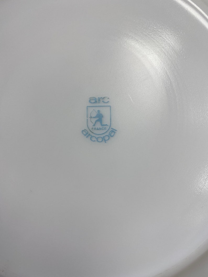 Set of 2 Vintage Romantique by Arcopal Plates - Blue Floral Cottagecore ...