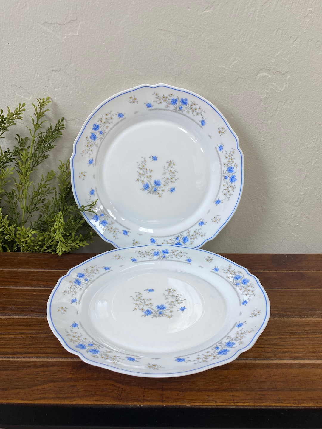 Set of 2 Vintage Romantique by Arcopal Plates - Blue Floral Cottagecore ...