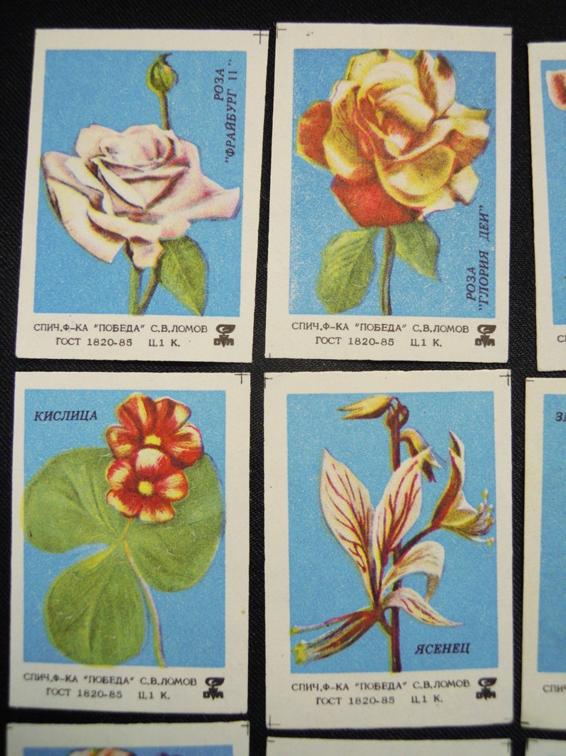Matchbox Labels Flowers Set of 18 Pcs - Etsy
