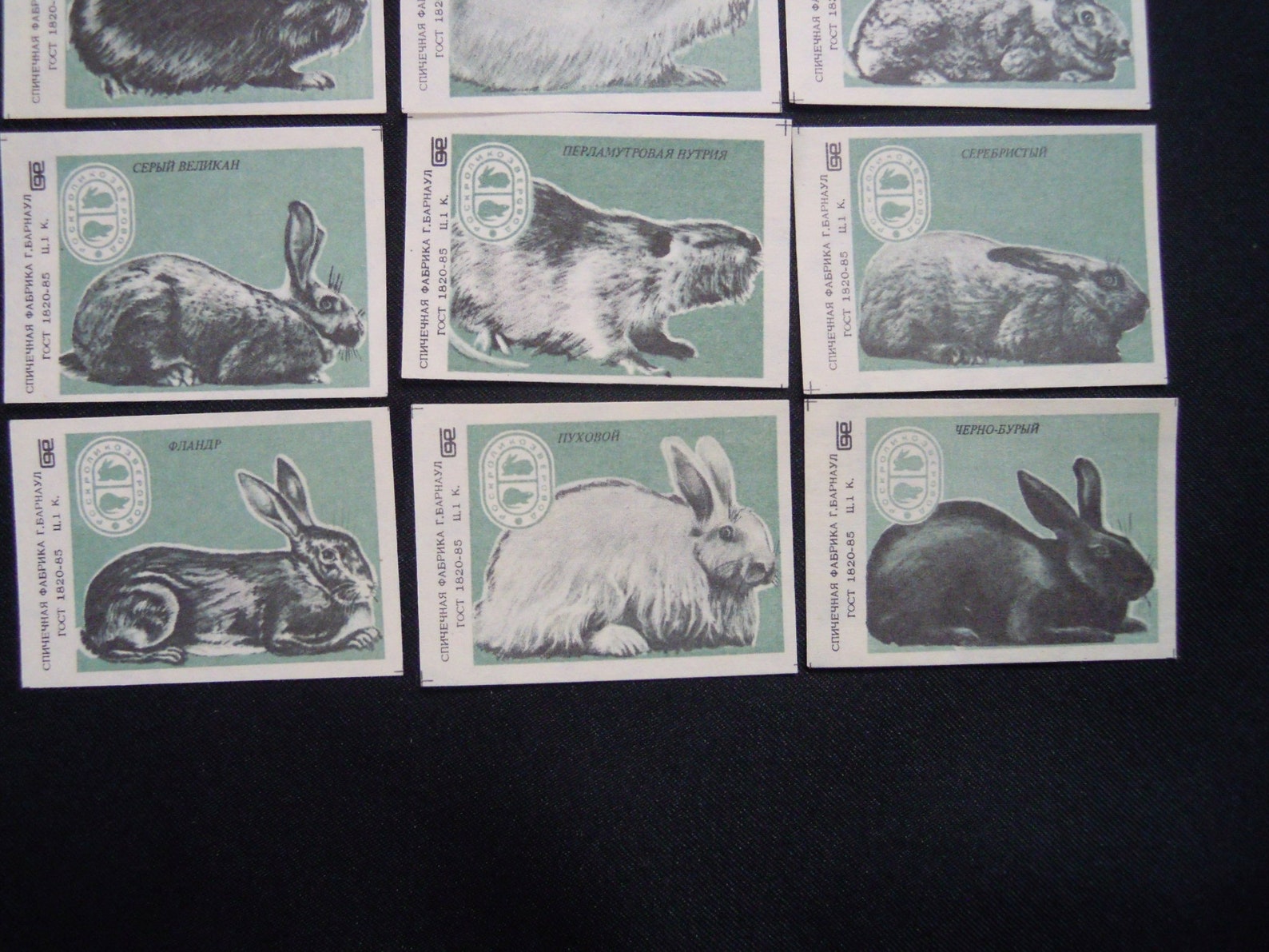 Matchbox Labels Rabbits Breeds of Rabbits Breeding of - Etsy