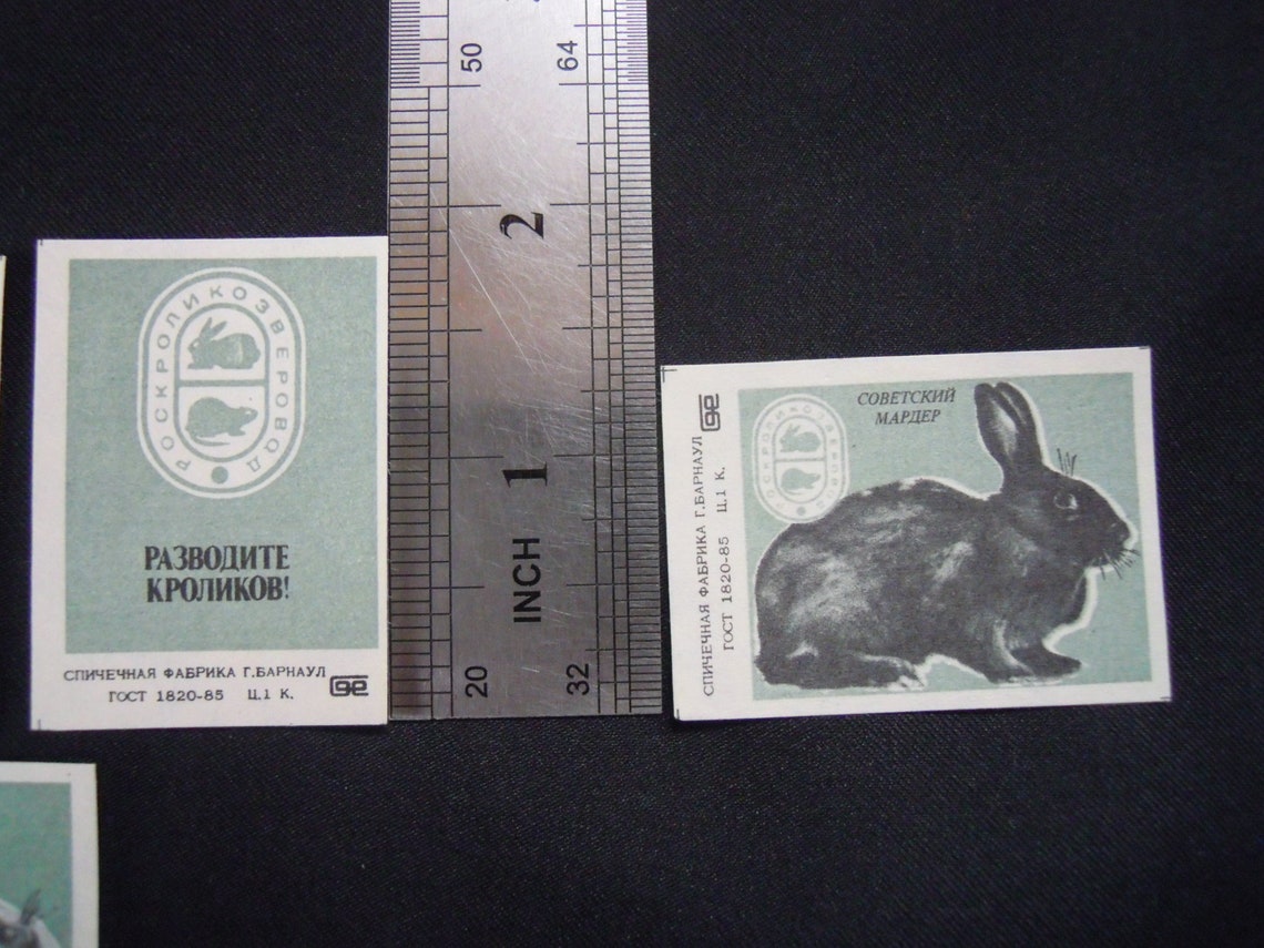 Matchbox Labels Rabbits Breeds of Rabbits Breeding of - Etsy