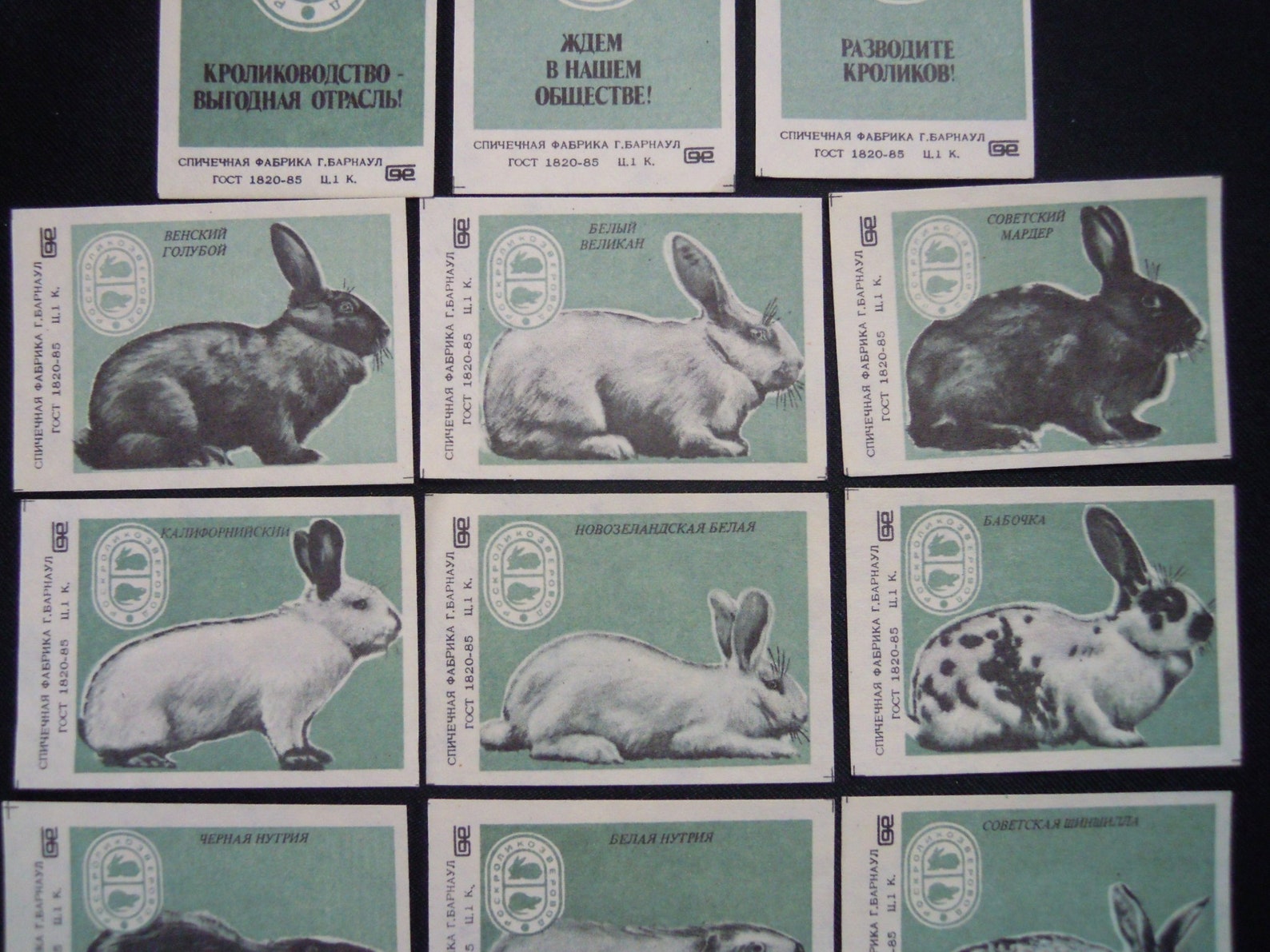 Matchbox Labels Rabbits Breeds of Rabbits Breeding of - Etsy