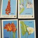 Matchbox Labels, Flowers, Set of 18 Pcs - Etsy