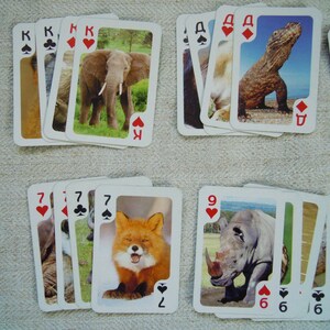 Playing Cards Animal Theme 36 Cards Playing Card Deck - Etsy