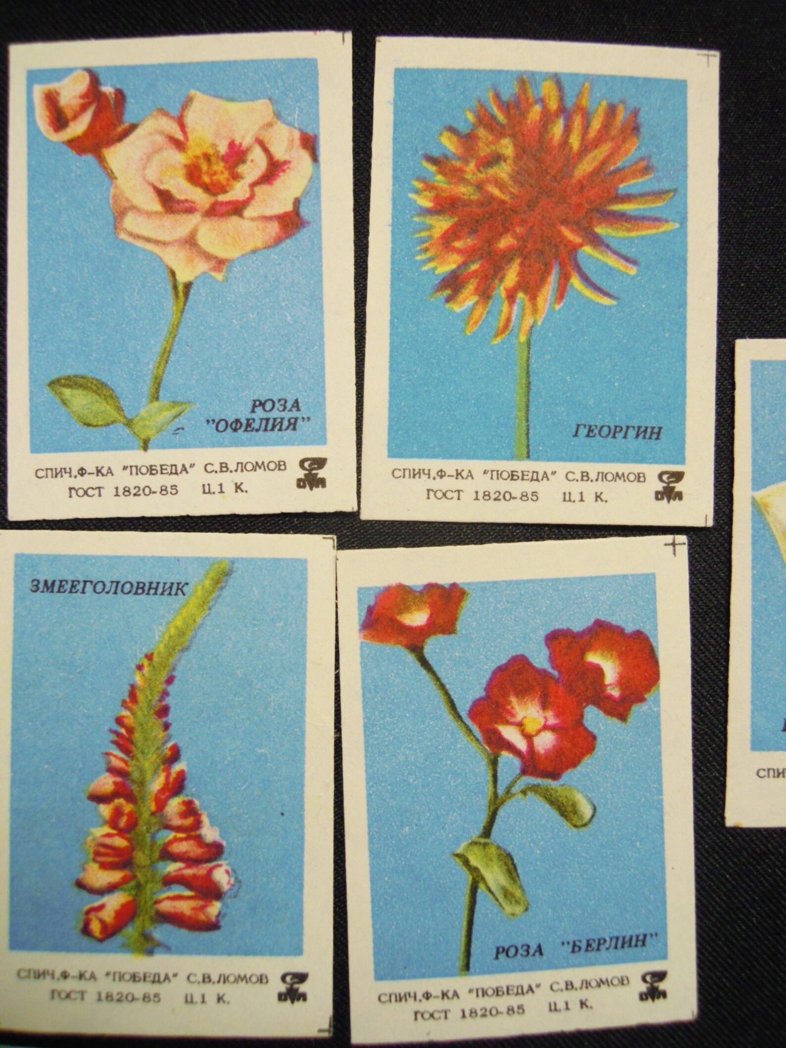 Matchbox Labels Flowers Set of 18 Pcs - Etsy