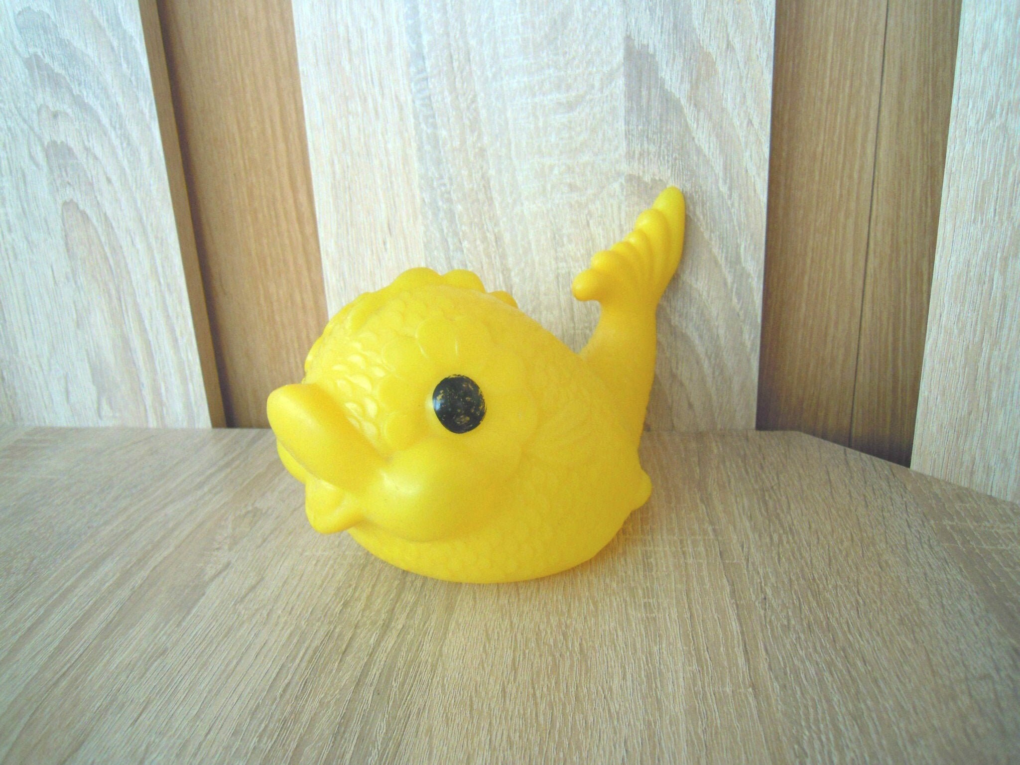 Toy for the Bath Fish Plastic Toy - Etsy