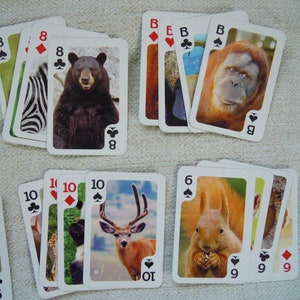 Playing Cards Animal Theme 36 Cards Playing Card Deck - Etsy