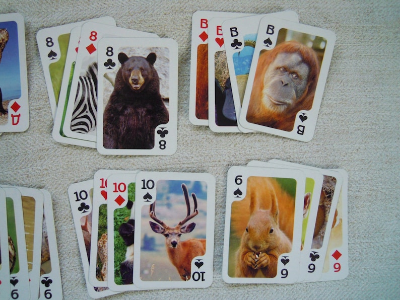 Playing Cards Animal Theme 36 Cards Playing Card Deck | Etsy
