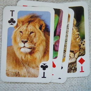 Playing Cards Animal Theme 36 Cards Playing Card Deck - Etsy