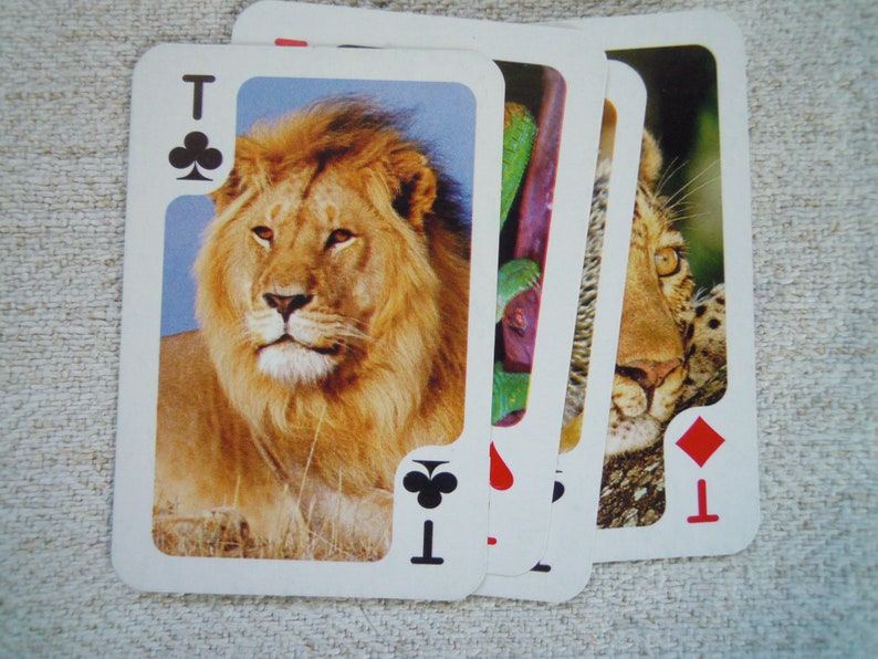 Playing Cards Animal Theme 36 Cards Playing Card Deck - Etsy