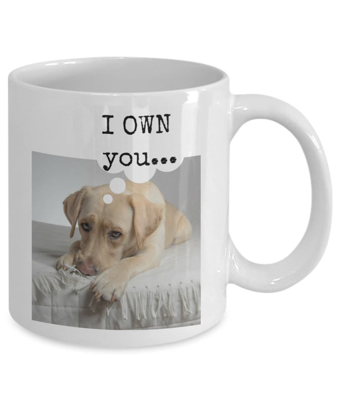 Funny Labrador Retriever Mug, I OWN You, Coffee Mug for Yellow Lab ...