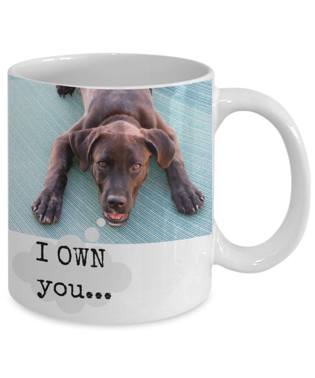 Funny Labrador Retriever Mug, I OWN You, Coffee Mug for Chocolate Lab ...
