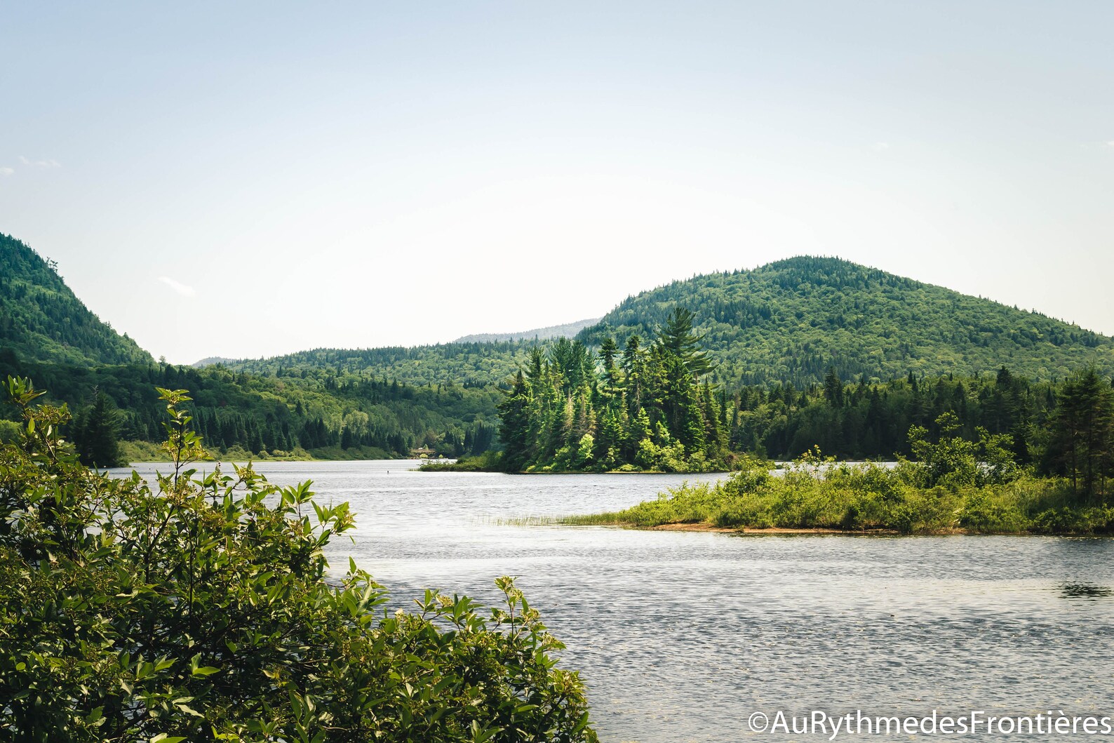 Forest Lake Quebec Nature photography Quebec Landscape | Etsy