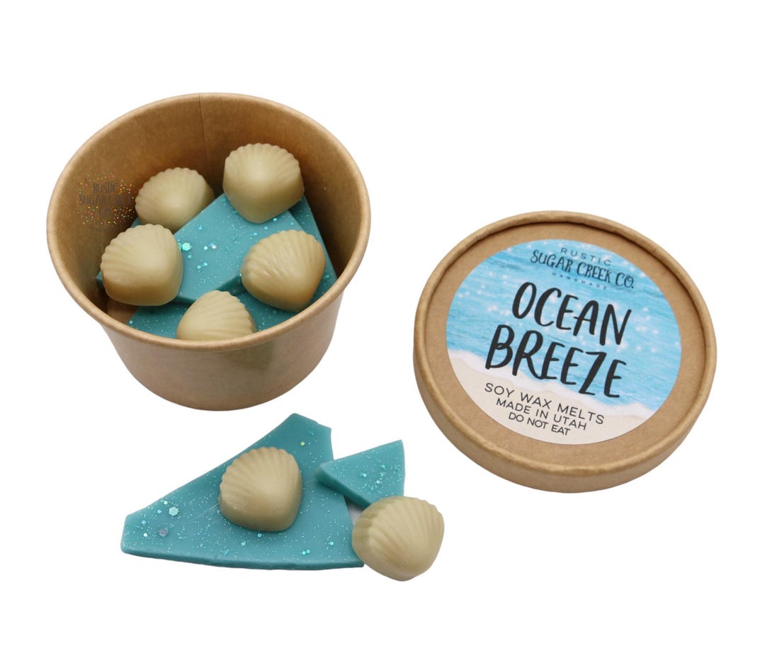 Ocean Breeze Snap Bar Scented Brittle Wax Melt for Warmer Ocean Wax ...