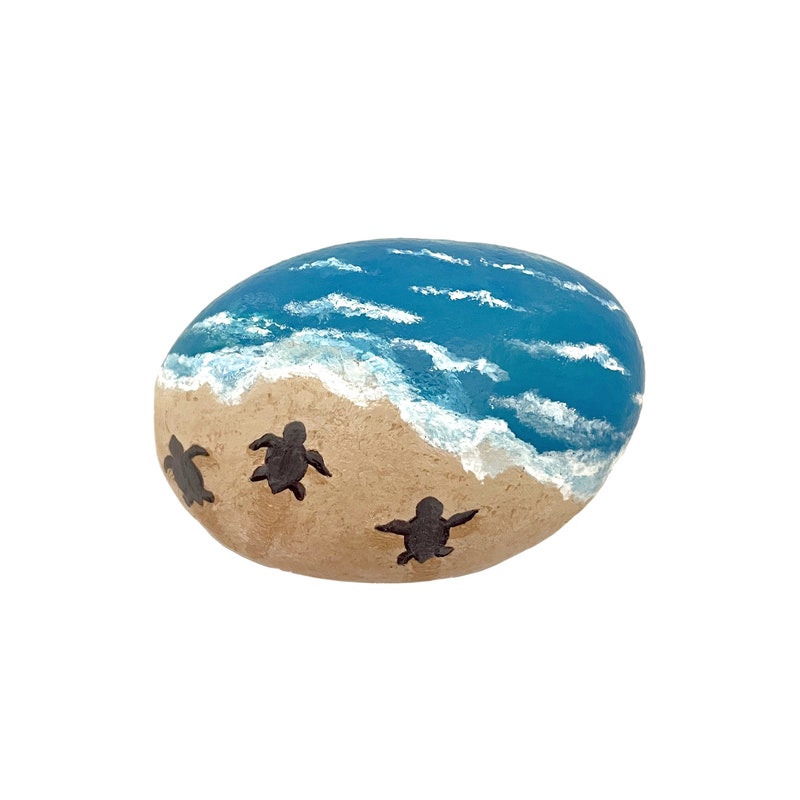 Painted Rock Turtle - Etsy