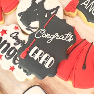Graduation Party Cookies, Grad Royal Icing Decorated Cookies ...