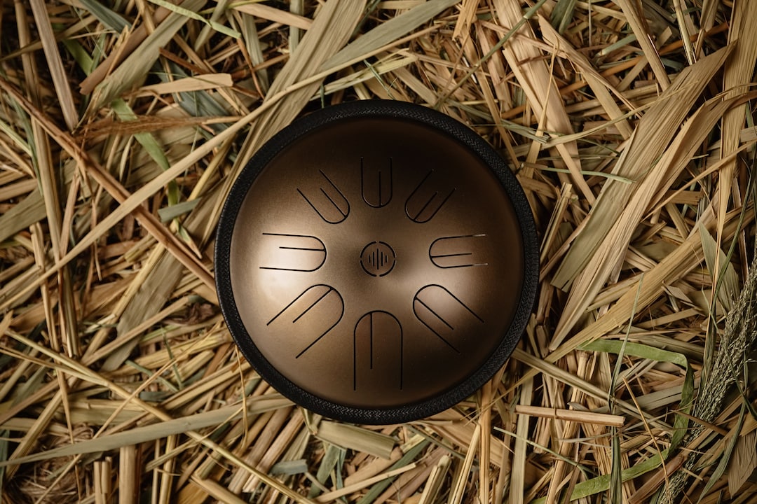Steel Tongue Drum: 11" Round Gong With Carry Bag - Etsy