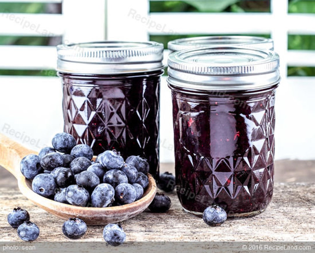 Homemade Blueberry Jelly/spreads - Etsy
