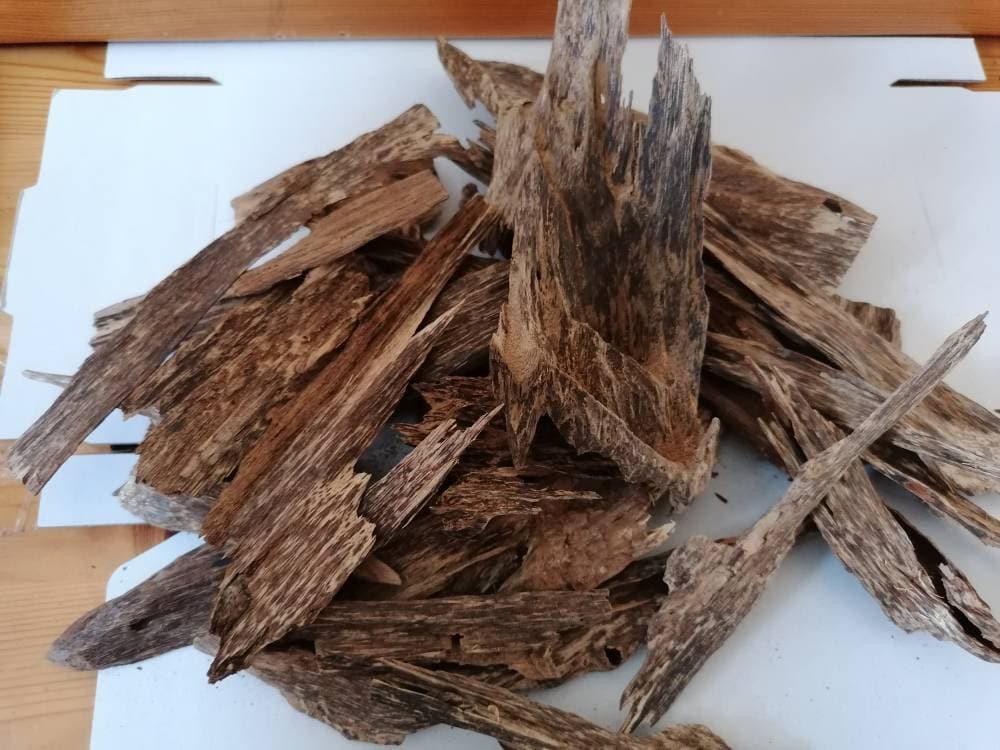 Perak Agarwood Border of South Thailand and Malaysia.. - Etsy