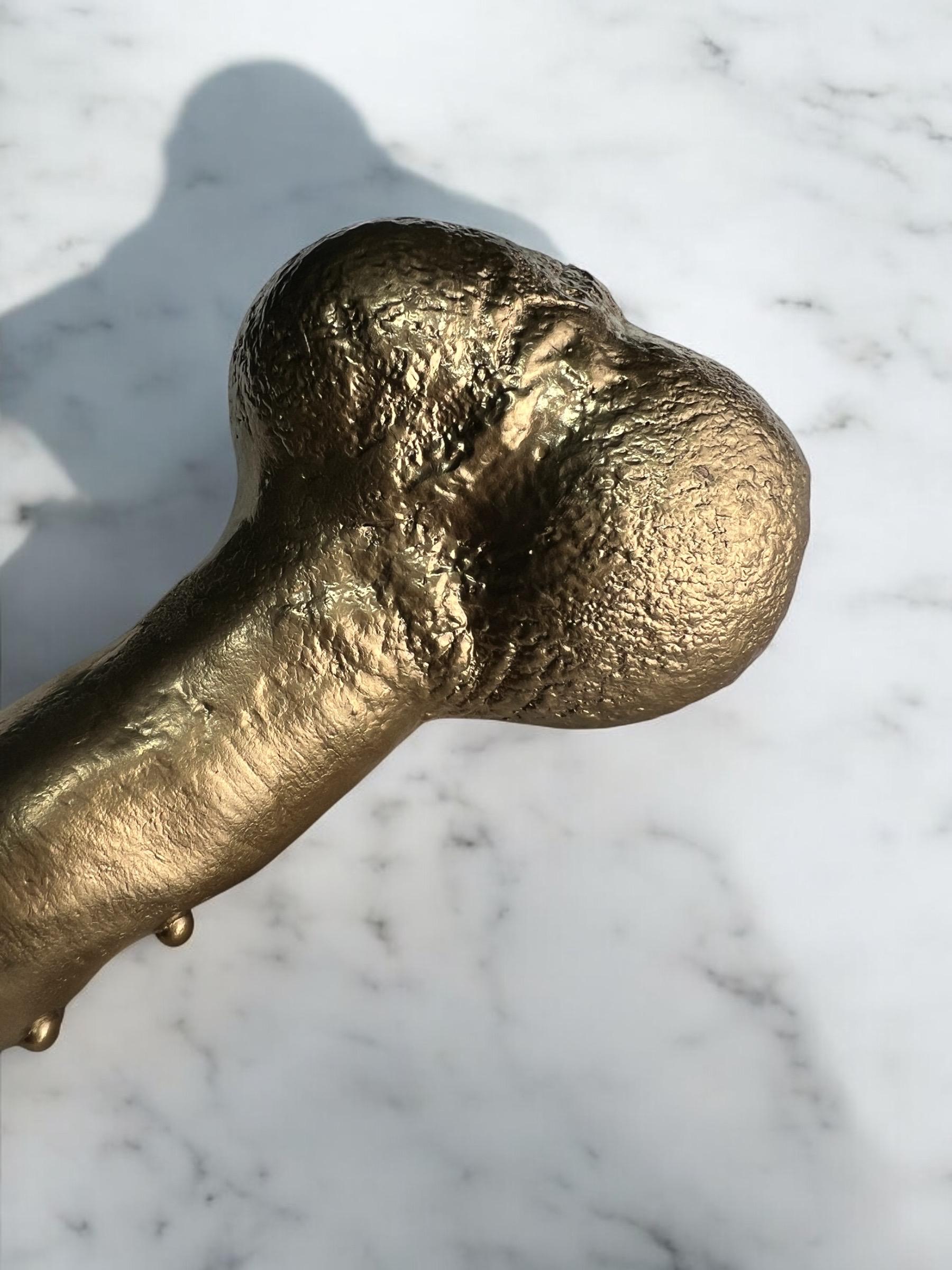 Lifecast of Male Penis | Phallic Wall Sculpture | Erotic Art | Male ...