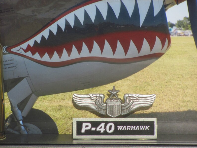 P-40 Warhawk Aviation Nose Art Shadow Box. for Military Decor, Aviation ...
