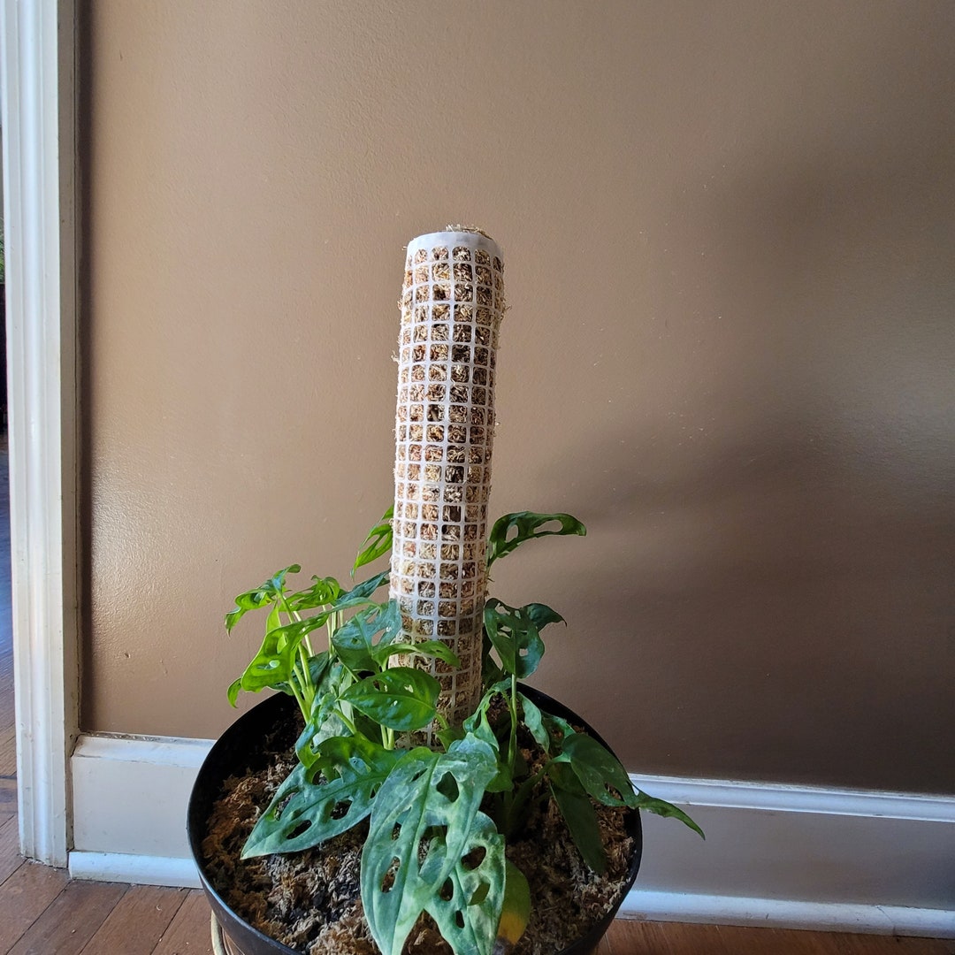 Moss Pole, White Mesh, 2" Diameter Stackable Staked Moss Pole ...