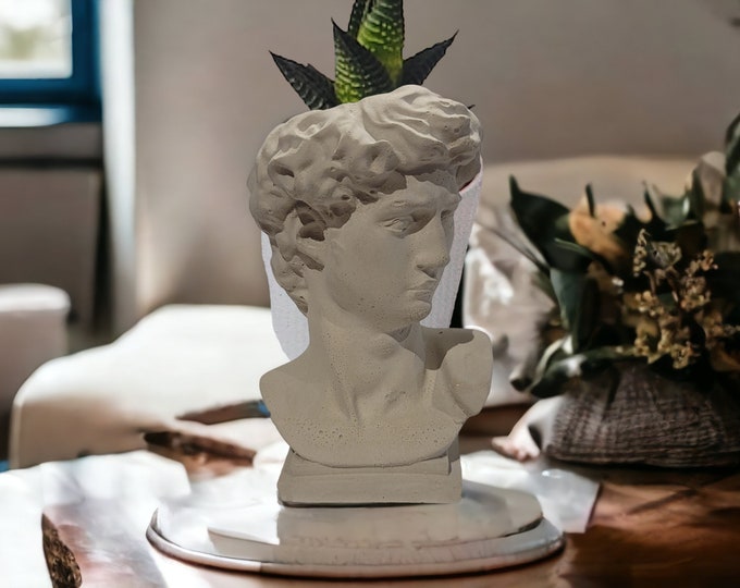 David Head Statue Greek Head Planter Roman Sculpture King David Bust ...