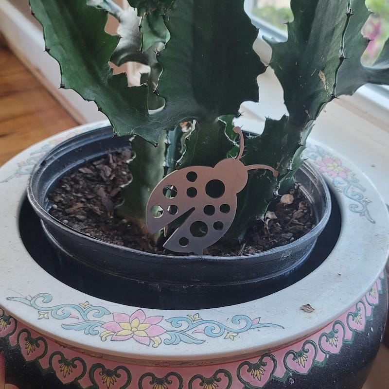 Ladybug Planter - Etsy