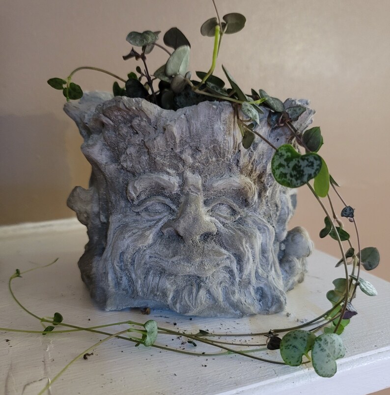 Old Man Tree Face Planter: Handmade Concrete Succulent Pot - Etsy