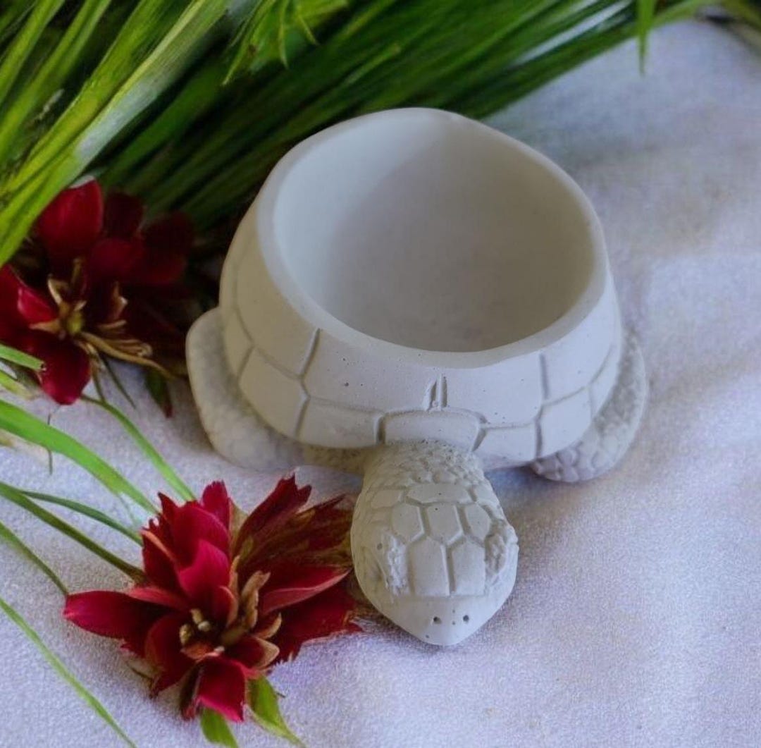 Concrete Sea Turtle Planter: Handmade Succulent or Cactus Pot - Etsy