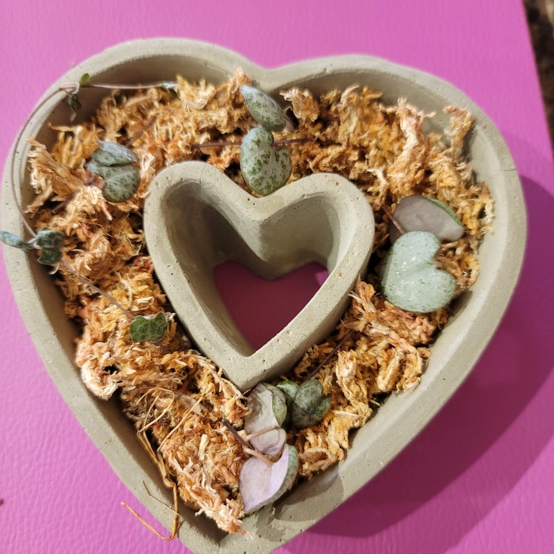 Heart Shaped Pot - Etsy