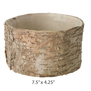 5 Sizes, White Birch Planter, Planter Pot, Birch Bark Bowl, Birch Bark ...