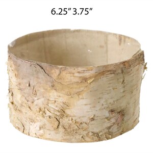 5 Sizes, White Birch Planter, Planter Pot, Birch Bark Bowl, Birch Bark ...