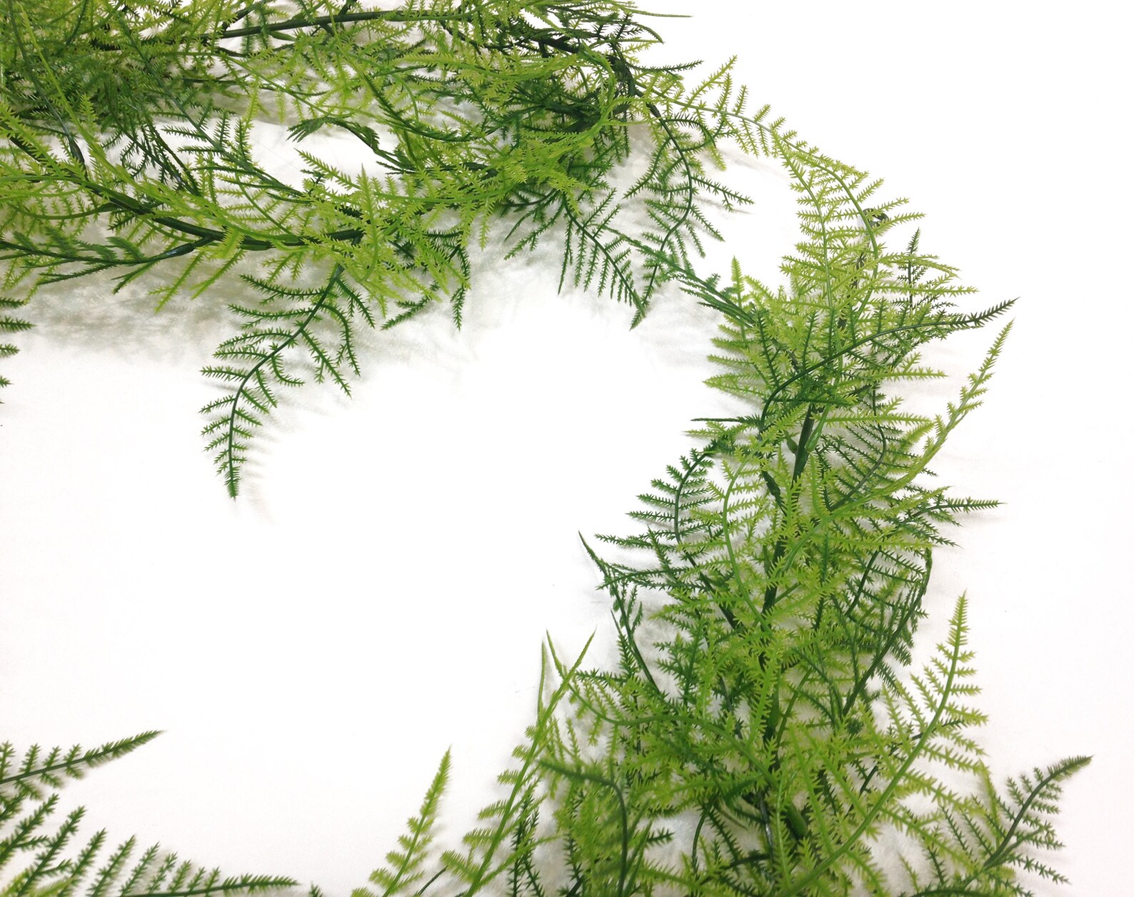 Asparagus Fern Garland Greenery Garland Greenery Wedding - Etsy