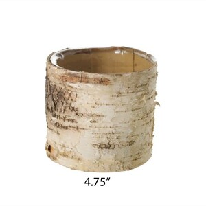 5 Sizes, White Birch Planter, Planter Pot, Birch Bark Bowl, Birch Bark ...