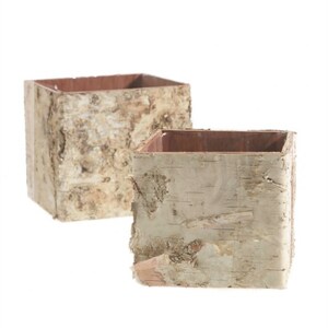 Birch Bark Planter: Rustic Wedding Centerpiece, Table Decor - Etsy