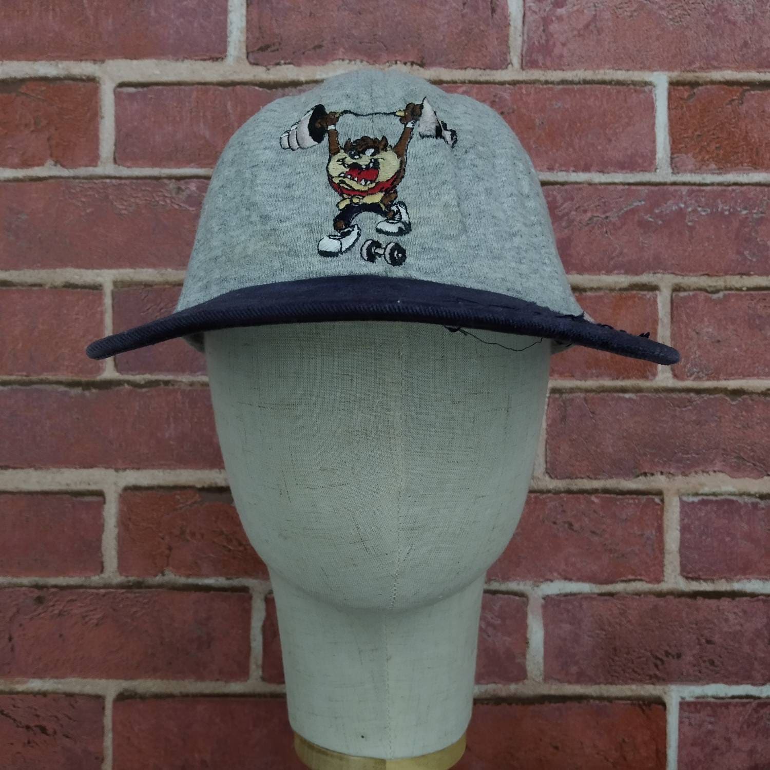 Vintage Tasmanian Devil Cartoon Trucker Cap Embroidery Style - Etsy