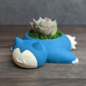 Concrete Sleepy Panda Planter DIY Paint Kit - Etsy