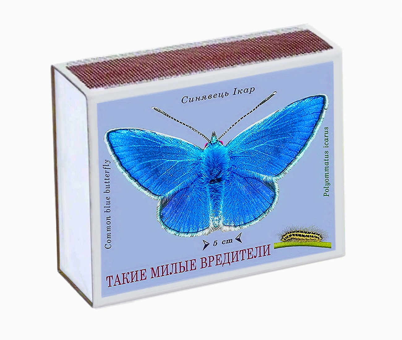 Butterflies and Moths Set 1 28 Pcs Matchbox Labels PDF - Etsy