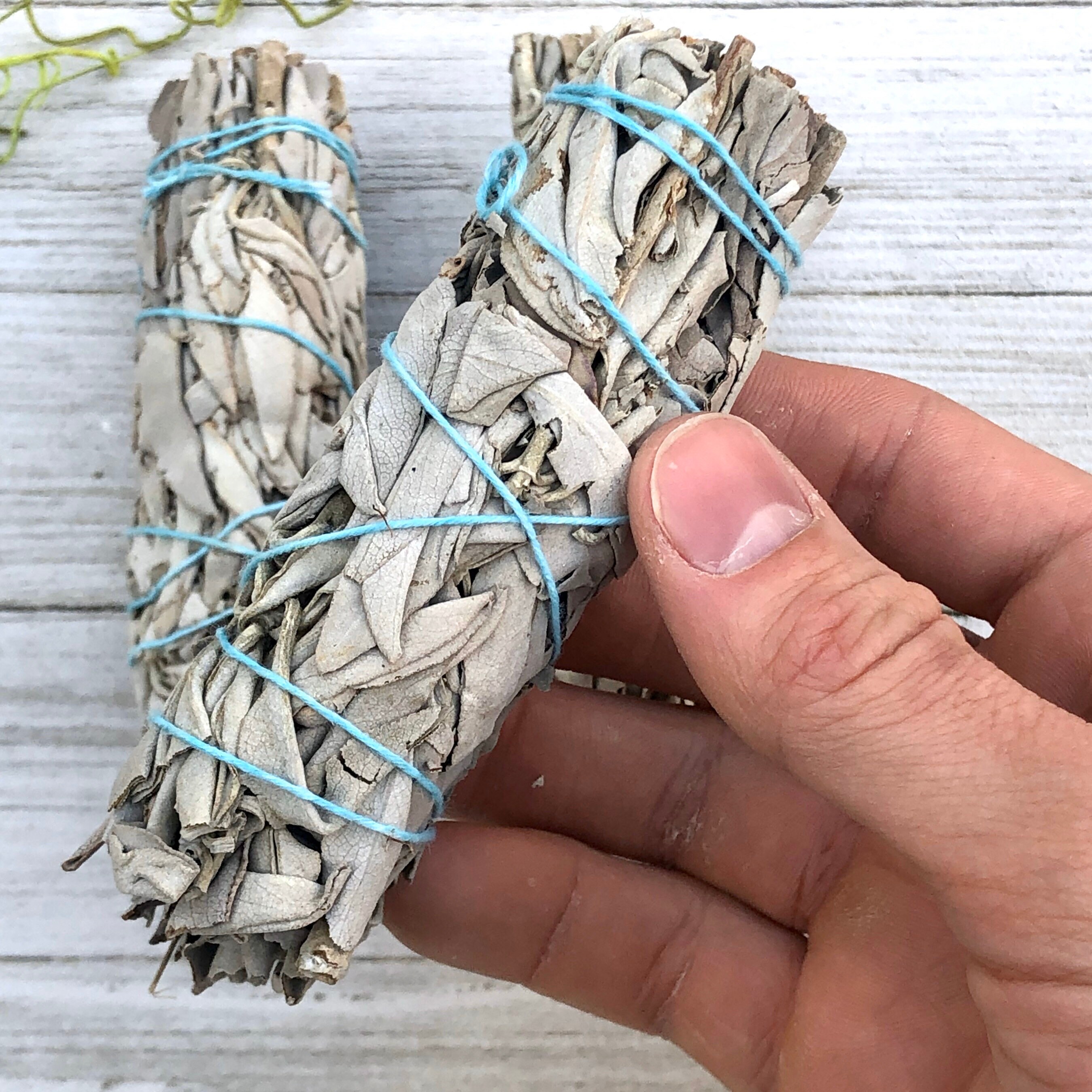 White Sage Smudge Stick 4in Choose Amount | Etsy