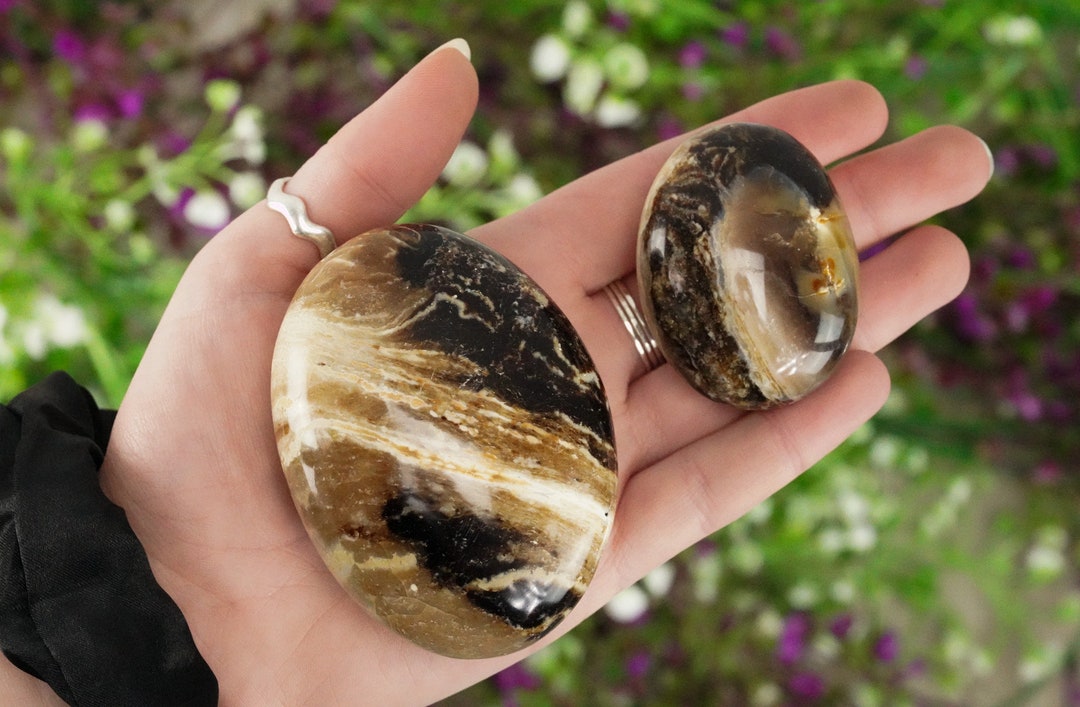 Chocolate Calcite Aragonite Palm Stone, Coffee Calcite - Etsy